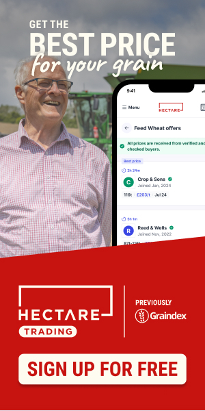 9 Aberdeen Angus, British Blue, Hereford Cross Store Steers, Heifers ...