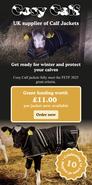 10 Aberdeen Angus, Brown Swiss Cross Calves | SellMyLivestock - The ...