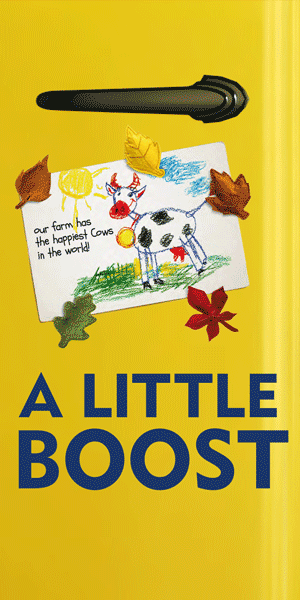 10 Pedigree Limousin In-Calf Breeding Cows with Calves at Foot ...