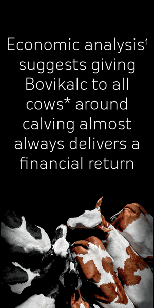 Store Cattle | SellMyLivestock - The Online Livestock Marketplace