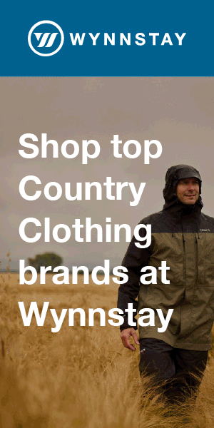 15 Pedigree Grey Faced Dartmoor Breeding Ewes, Lambs, Shearlings ...