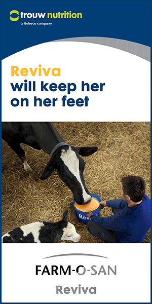 Store Cattle | SellMyLivestock - The Online Livestock Marketplace