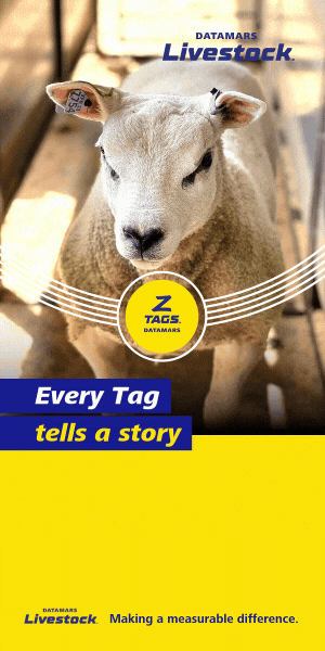 Store Cattle | SellMyLivestock - The Online Livestock Marketplace