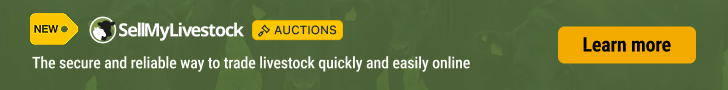 Sheep | SellMyLivestock - The Online Livestock Marketplace