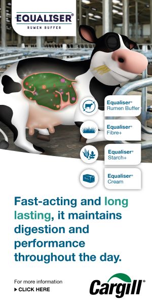 Calves | SellMyLivestock - The Online Livestock Marketplace