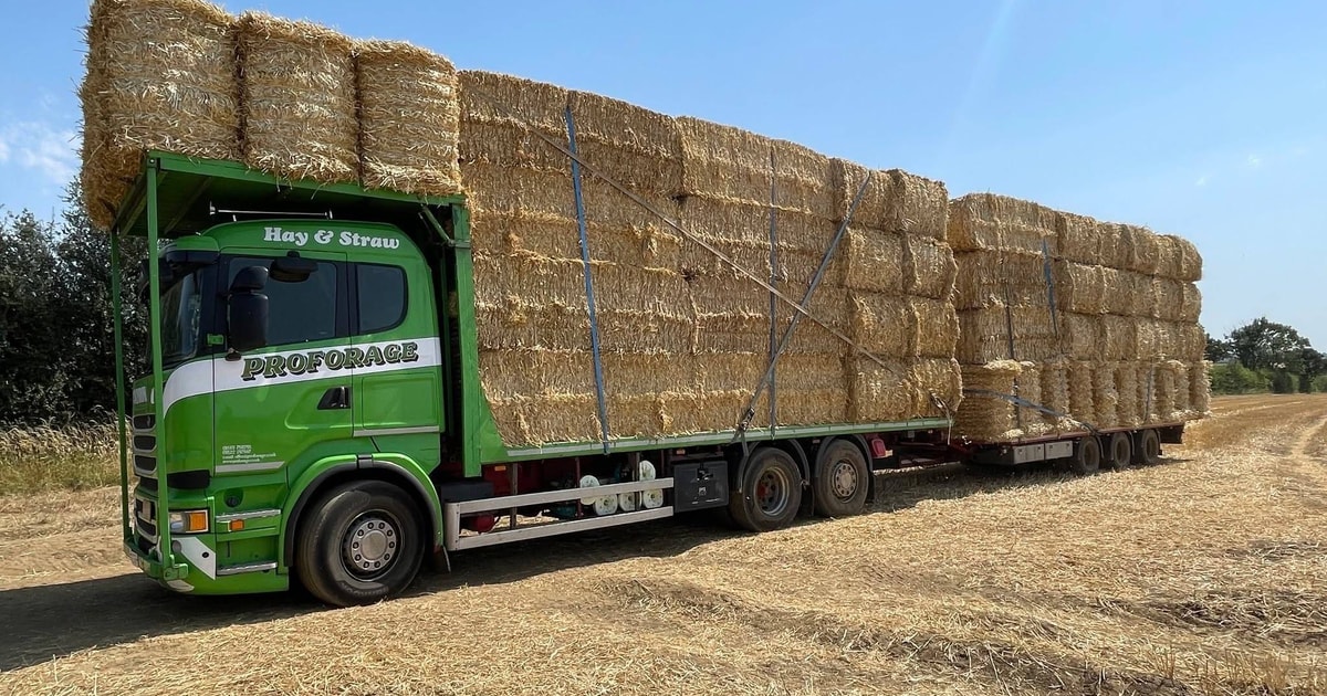 1000 Bales Baled Straw (Barley) | SellMyLivestock - The Online ...